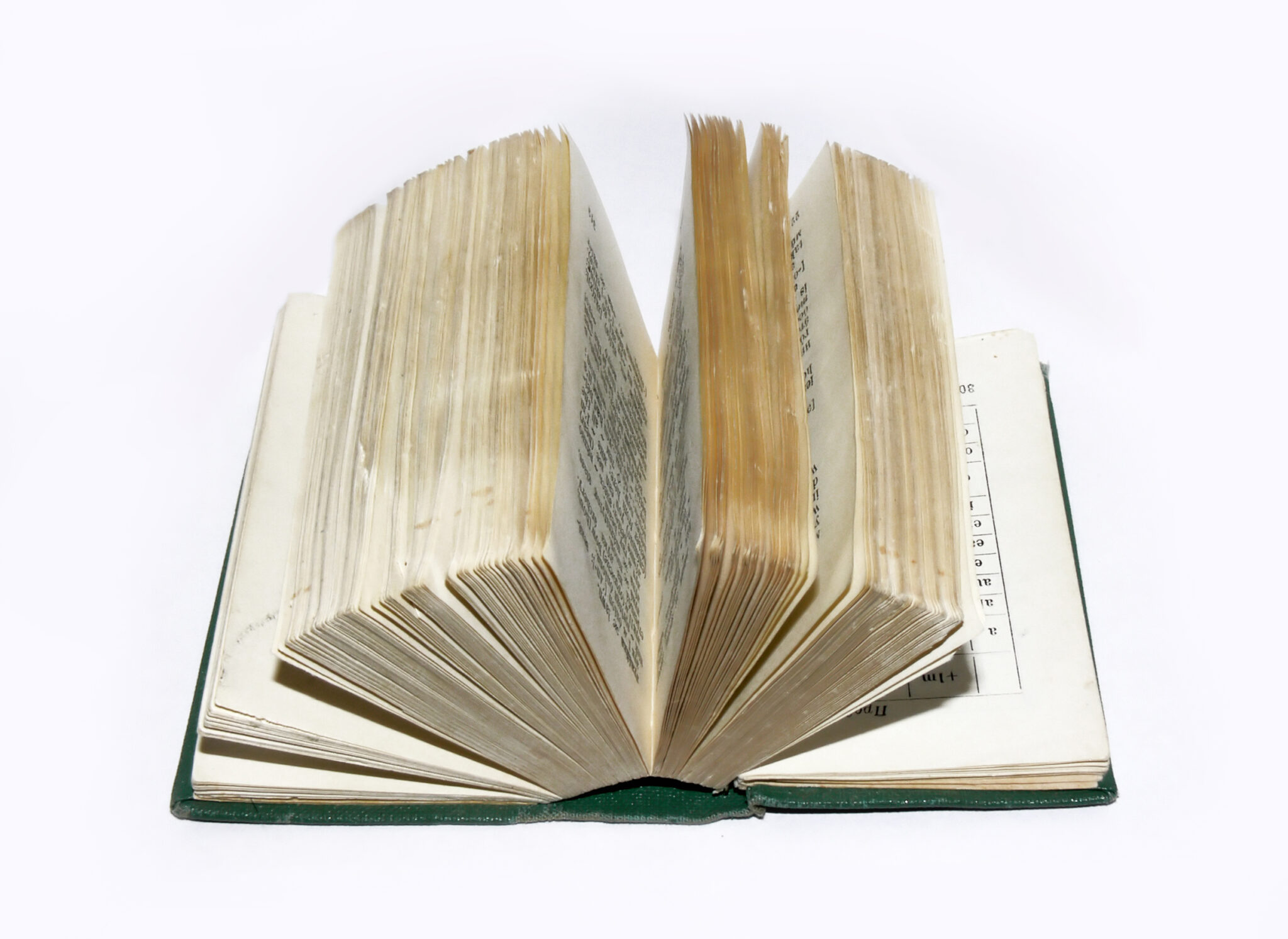 2020 in Words: Insights into the Trajectory of Humanity on the Blue ...